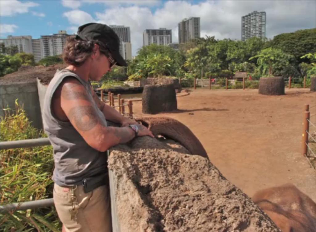 FOCUS: Meet Malia Davis, the Zookeeper - Honolulu Civil Beat