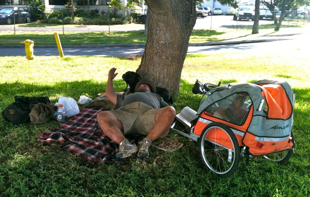Nimitz Highway Targeted For Homeless Cleanup - Honolulu Civil Beat