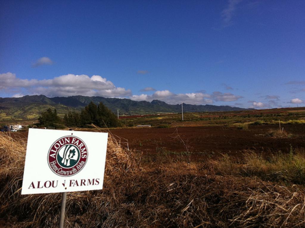 Only Conviction in Aloun Farms Case Overturned - Honolulu Civil Beat