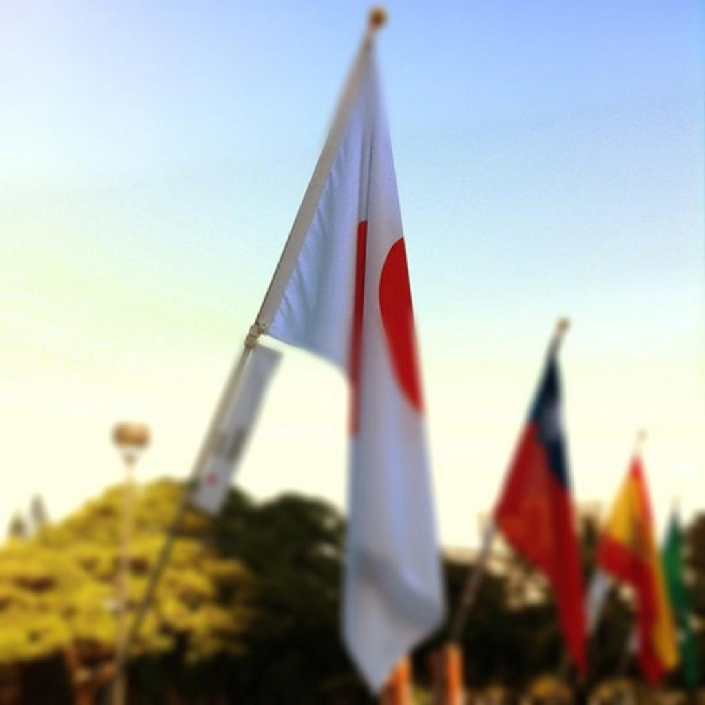 Connecting Hawaii and Japan Through Photos - Honolulu Civil Beat