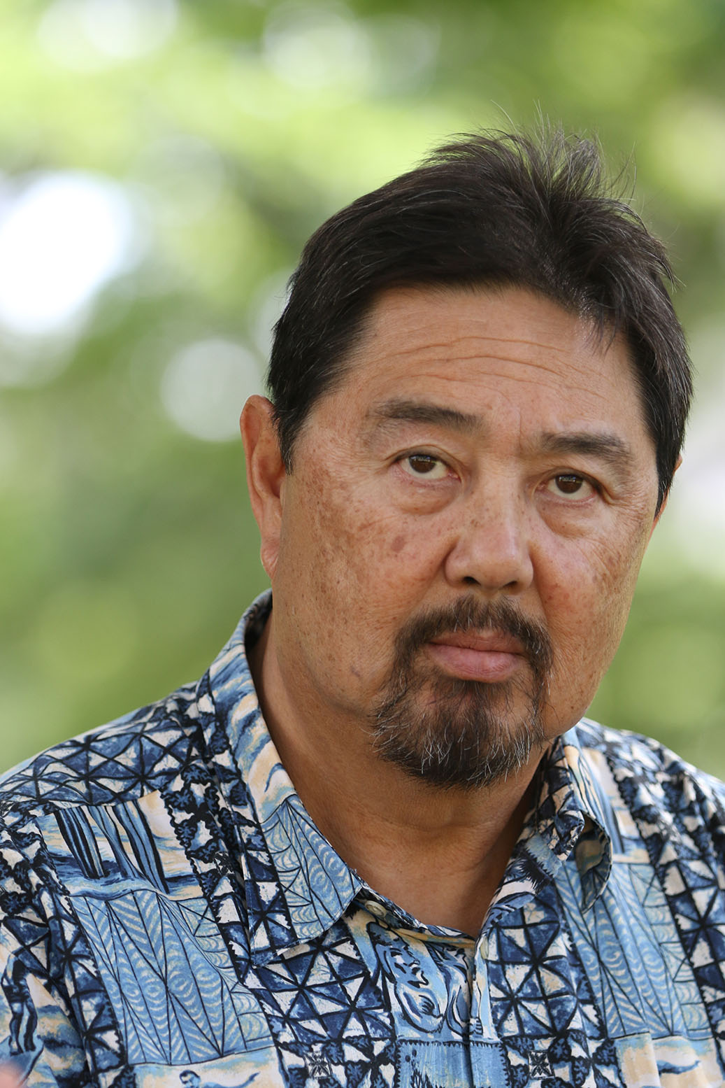Cabinet Website Says Ching Already Leads DLNR - Honolulu Civil Beat