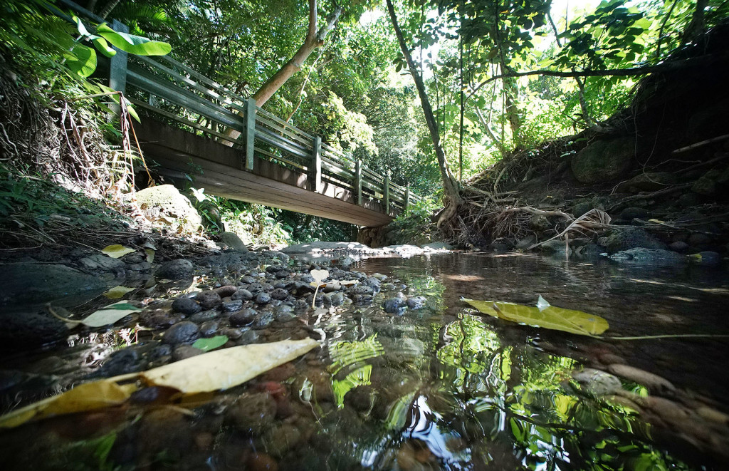 Palolo Valley: 'Overshadowed By Its Past,' But Making Progress ...
