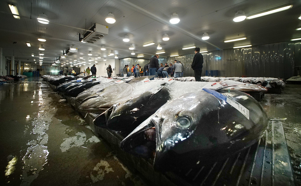 Future Of Commercial Fishing In Protected Pacific Waters In Courts ...