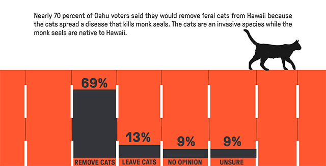 feral cat poll - Honolulu Civil Beat