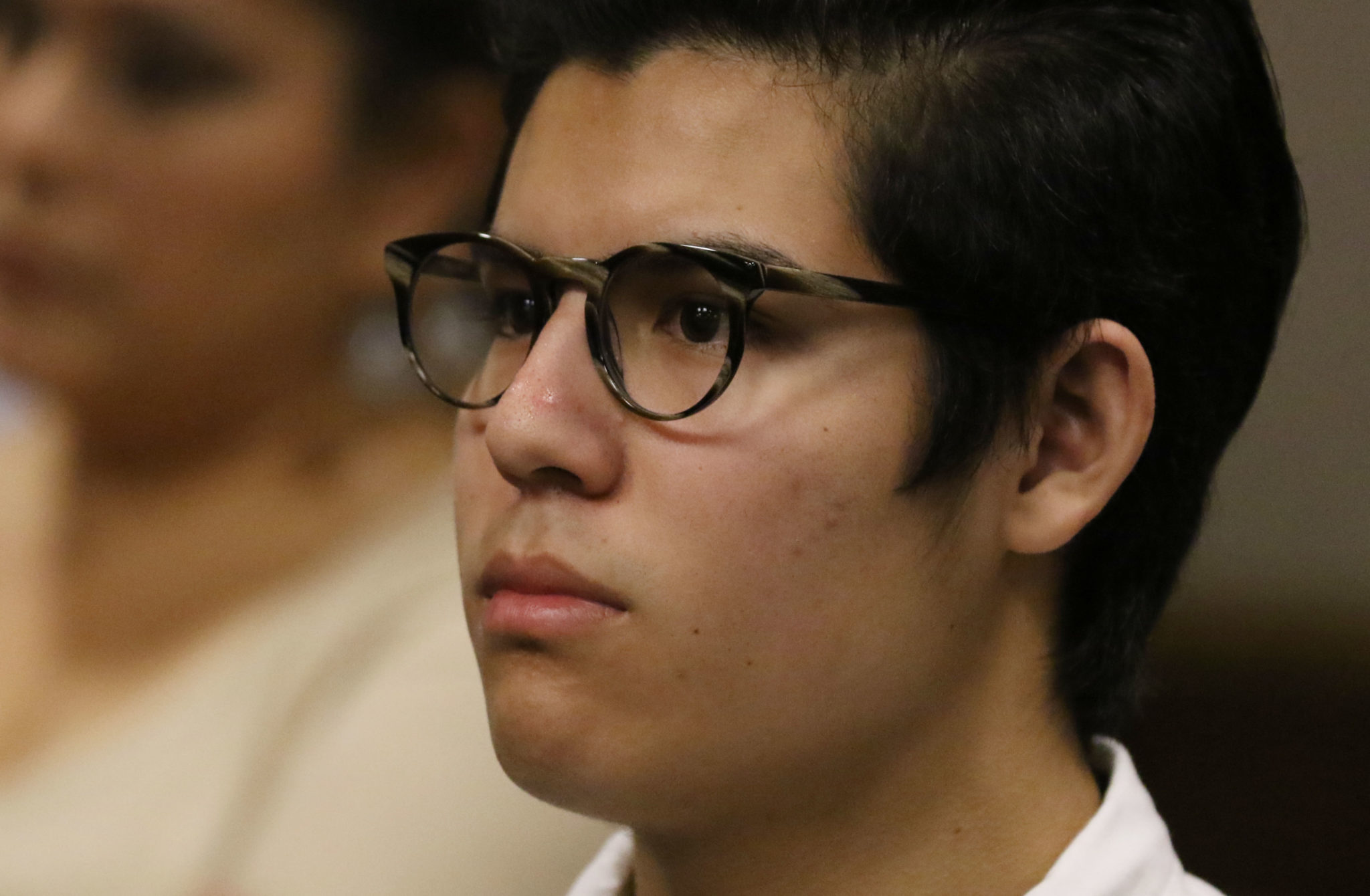 Prosecutor Says Killing Albatrosses Should Mean Prison Time - Civil Beat