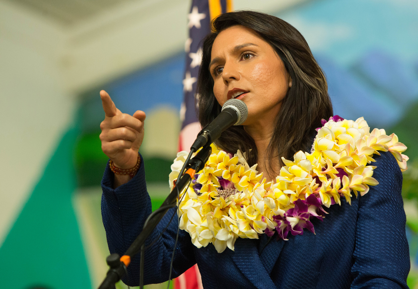 Gabbard Focuses On North Korea Amid Questions About Syria - Honolulu ...