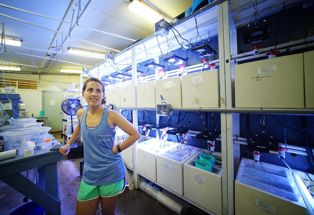 The Sex Life Of Coral: Why Scientists Think It Could Save Us All ...