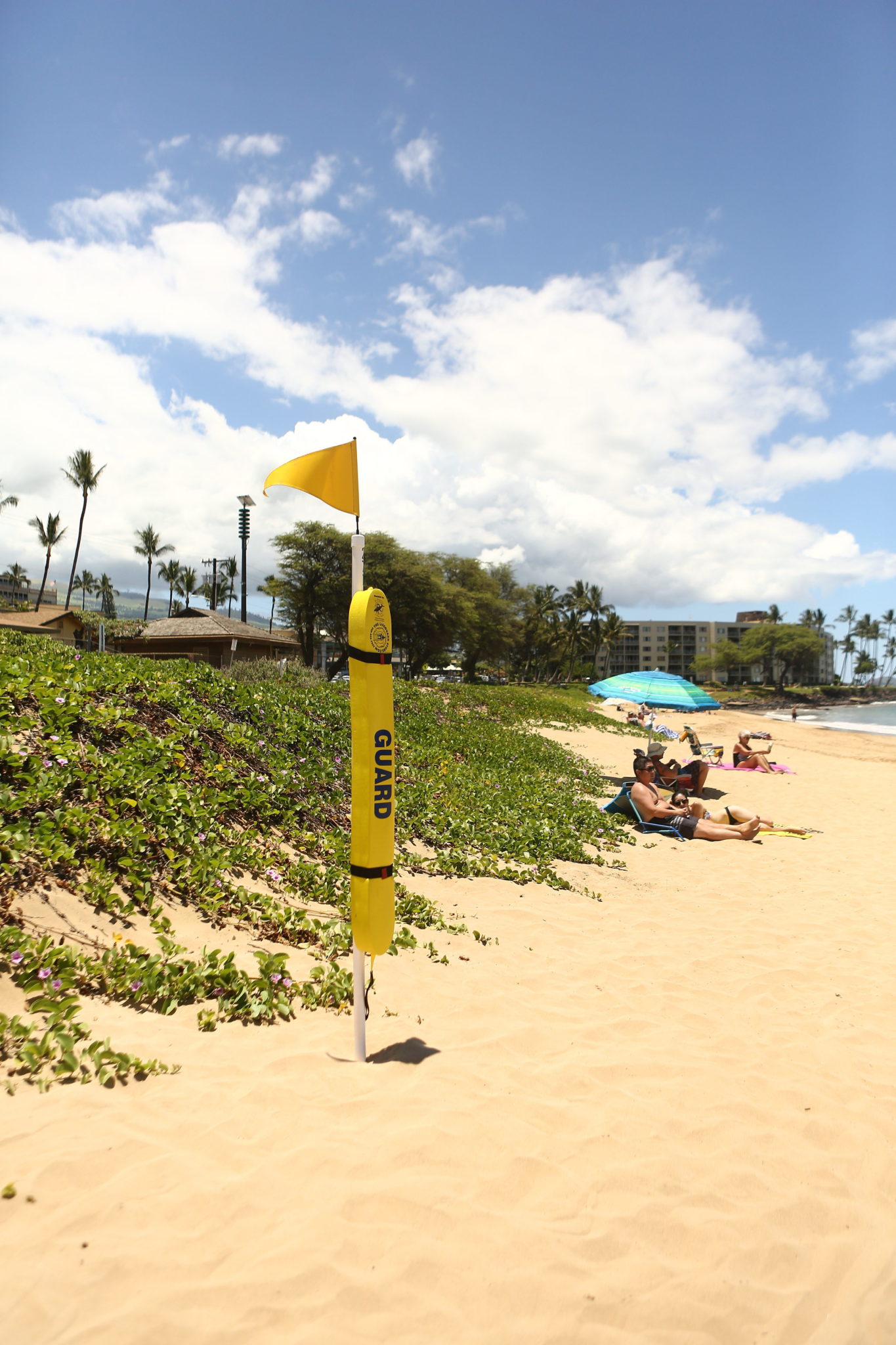 Tad Bartimus: Maui Hopes New Rescue Tubes Will Reduce Drownings ...