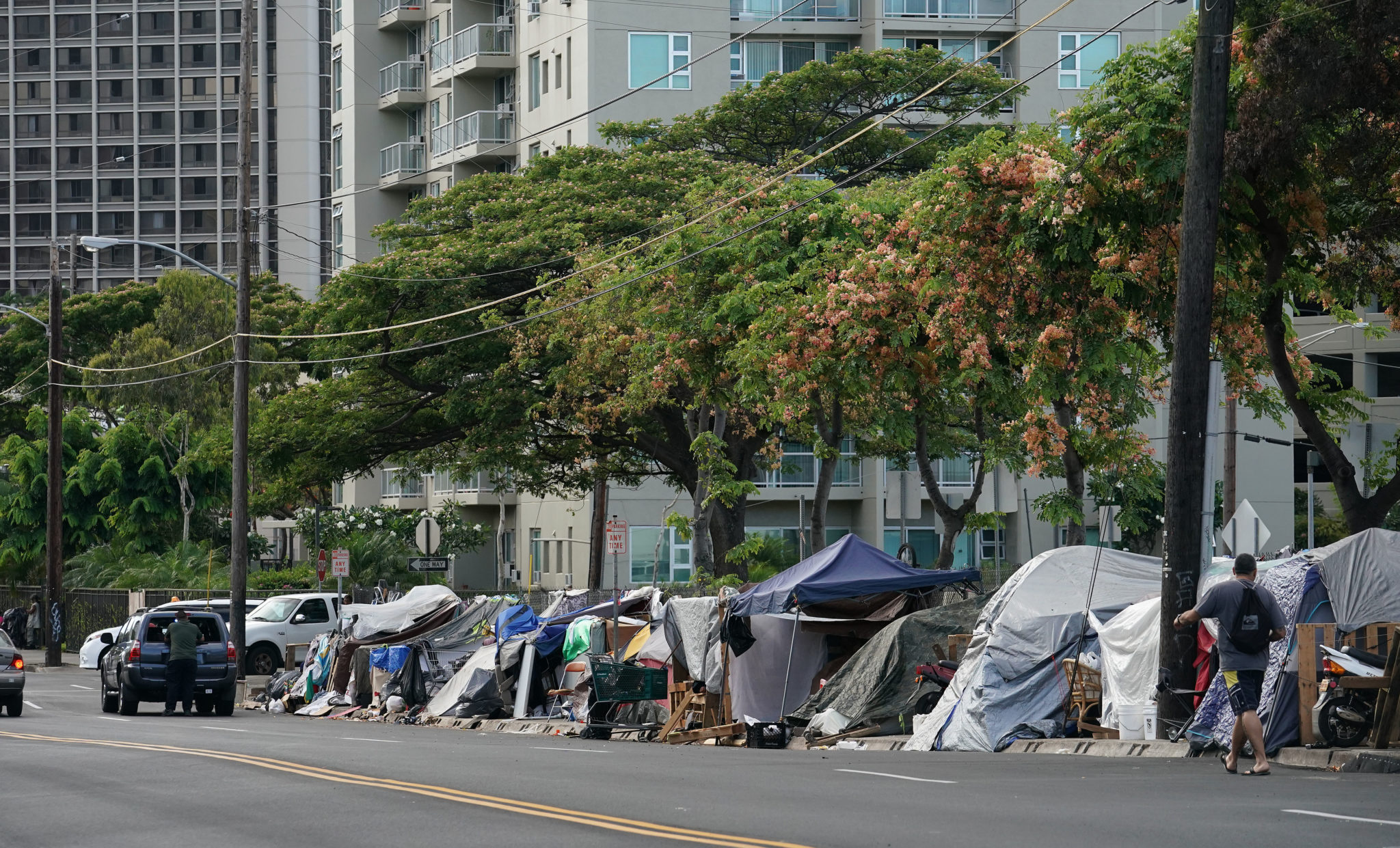 Neal Milner: Here's What It Really Takes To Survive In Hawaii ...