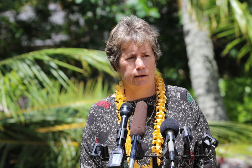 How The Endangered Hawaiian Hawk Became A Political Pawn - Honolulu ...