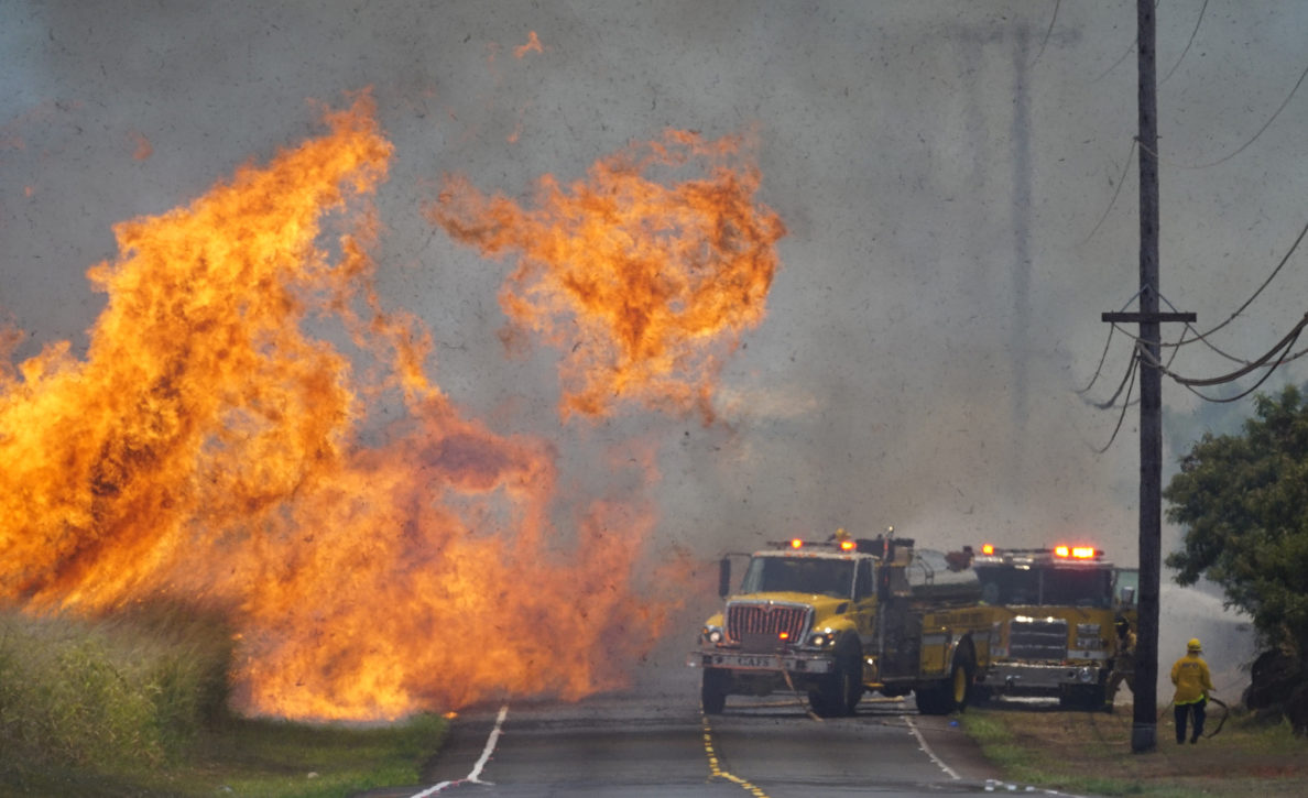 Hawaii Is Losing As Much Of Its Land To Wildfires As Any Other State ...