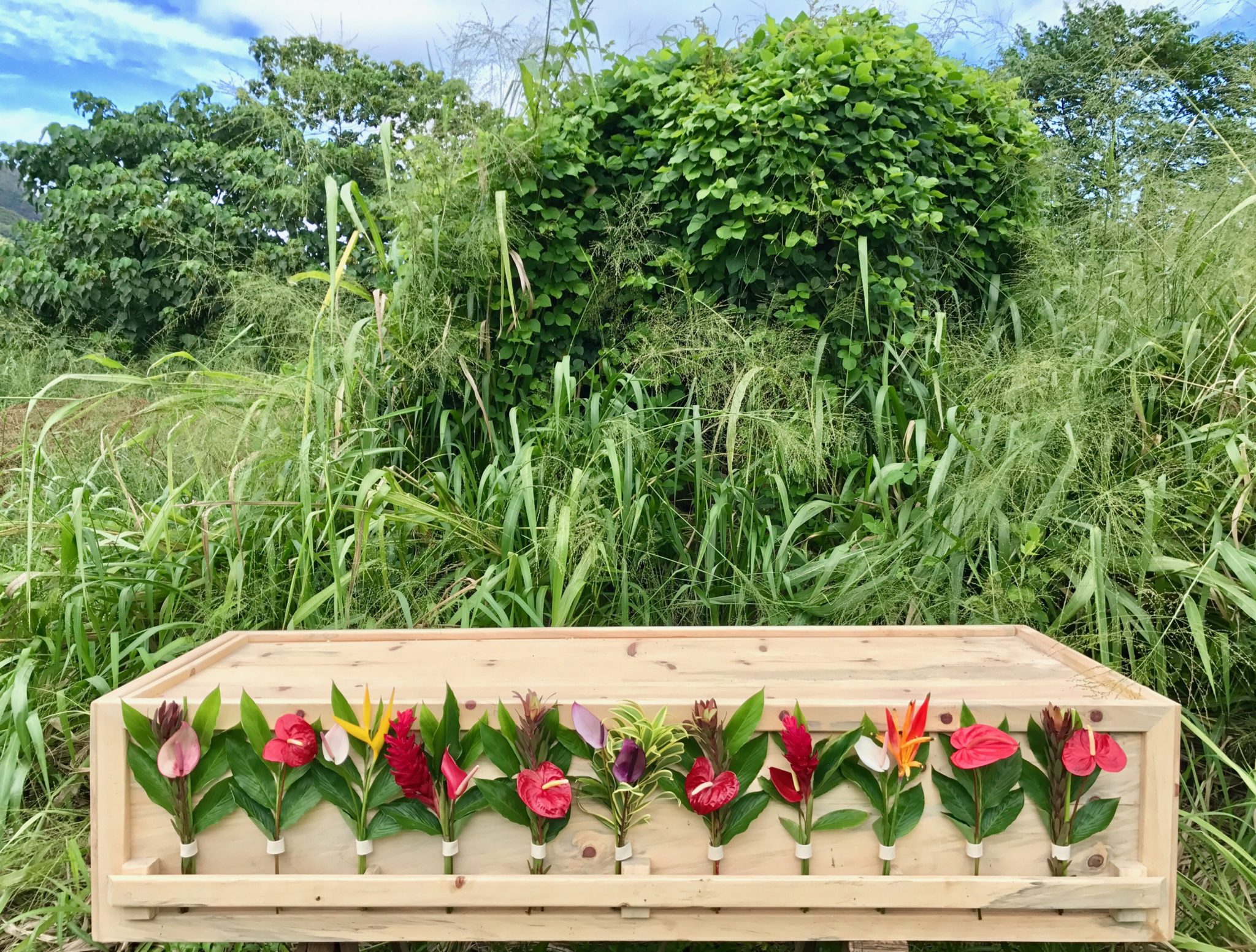 Can These Eco-Friendly Caskets Find A Niche In $20 Billion Industry ...