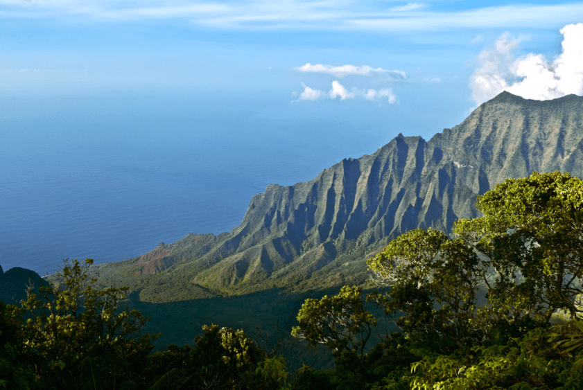 Kauai Utility Cuts Power To Kokee Amid Fire Watch - Honolulu Civil Beat