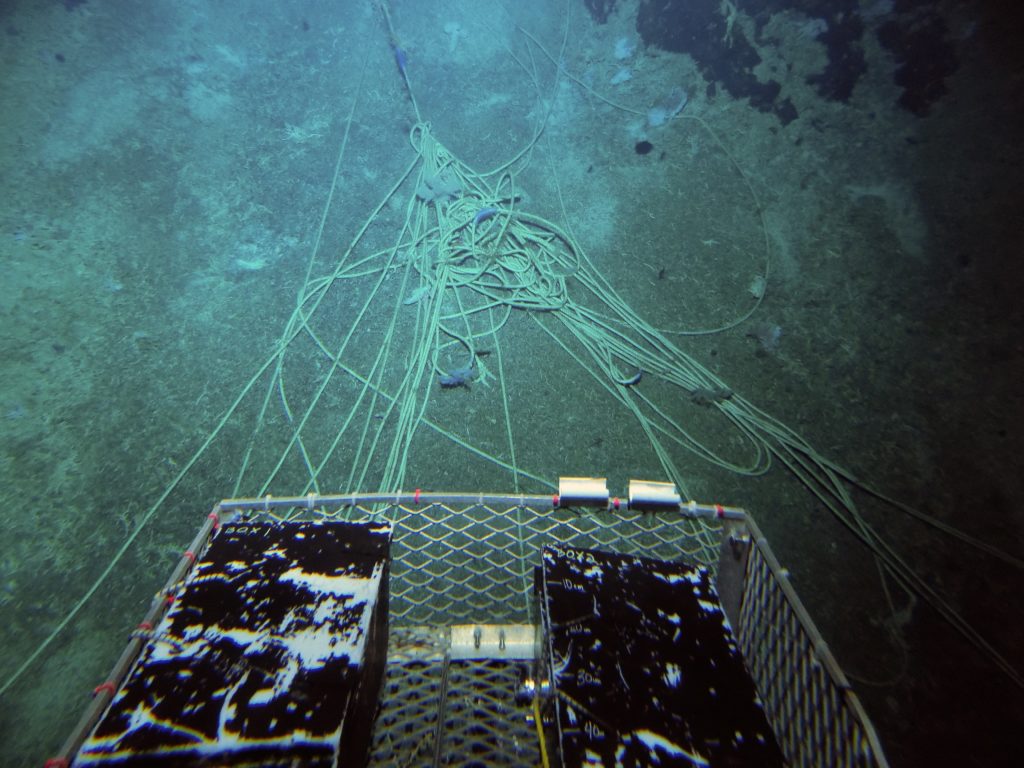 'Devastation' Discovered In Deep Sea From Industrial Fishing - Honolulu ...