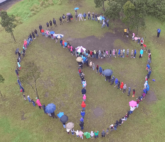 Hawaii Students Join Walkouts In Wake Of School Shootings - Honolulu ...