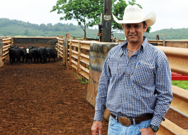Kauai: Why The Beef Industry Is Rapidly Expanding On The Garden Island ...