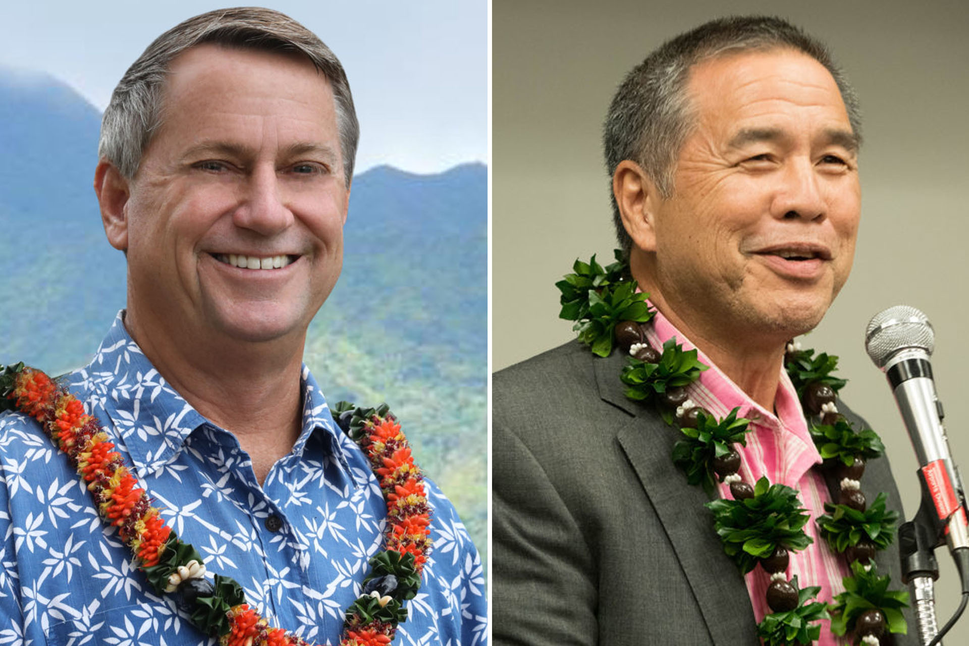 A Surprise Challenge On The North Shore And Other Intriguing Senate ...