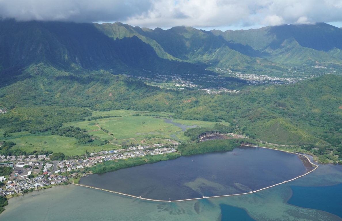 Hawaii Lawmakers Want To Make Fish Farming A Bigger Industry. But How ...