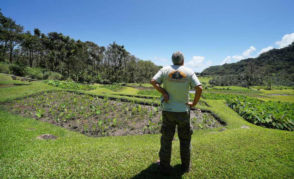 This Native Hawaiian Taro Farmer Has Been Fighting A&B For Decades ...