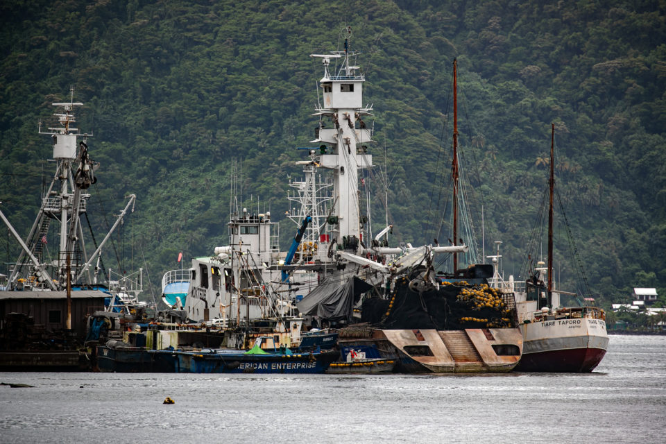 Pacific Tuna Fleets Pushed To Lift Ban In Waters They Barely Fished ...