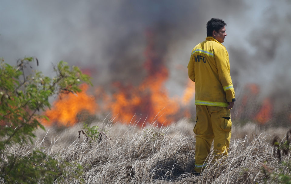 Hawaii Is Entering A Dangerous Fire Season. Here's What Will Be ...