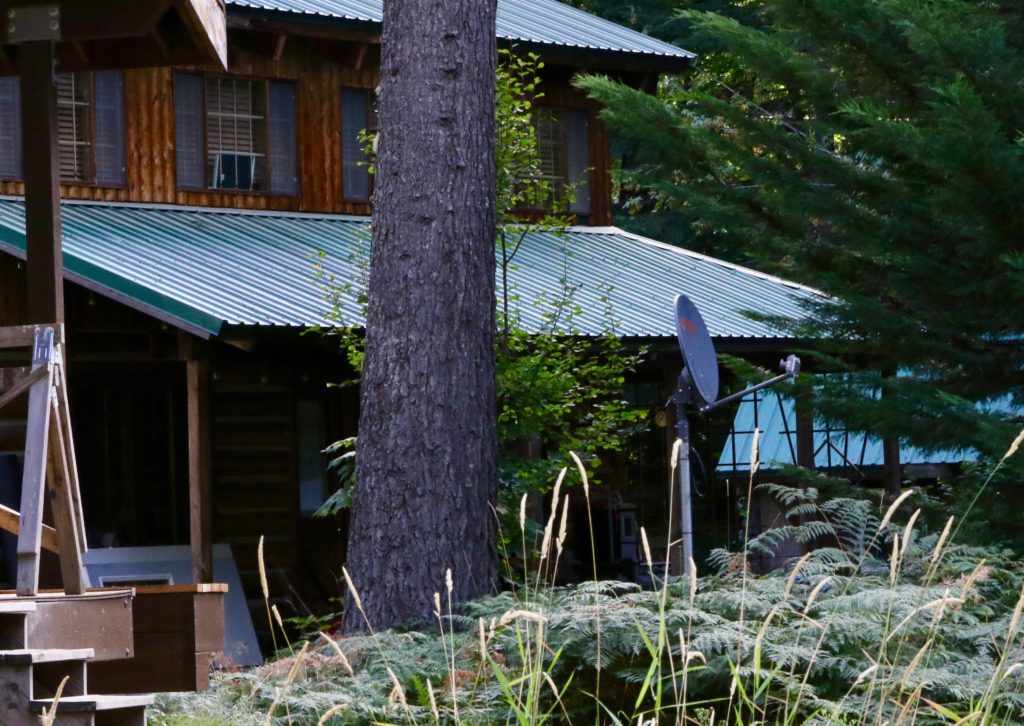 Why Is Tulsi Gabbard Paying This Obscure Consultant Big Bucks ...