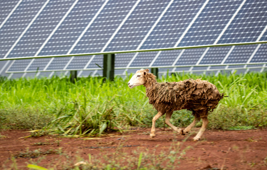 How Solar Farms On Mountain Slopes Could Help Hawaii Meet Food ...