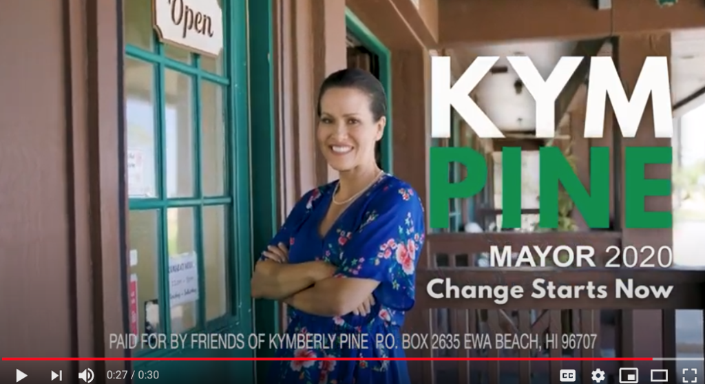Kym Pine: The New Face Of 'Working Families' Or Just The Status Quo ...