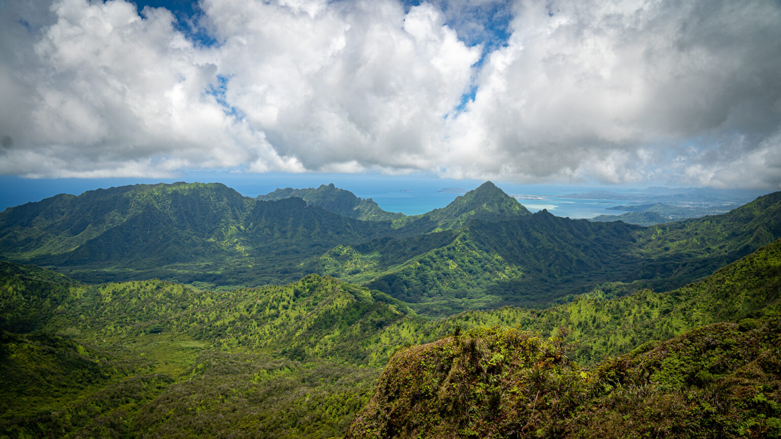 How Efforts To Save Hawaii's Forests Are Preventing A 'Freshwater ...