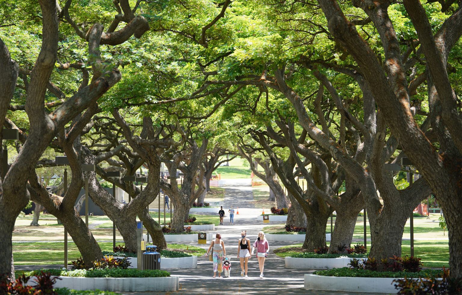 UH Engineering Faculty Cast Vote Of 'No Confidence' In College Dean ...