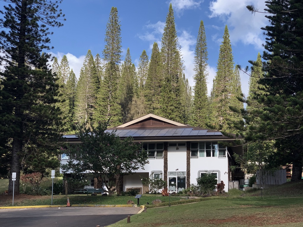 Sally Kaye: Serious As A Heart Attack - Honolulu Civil Beat