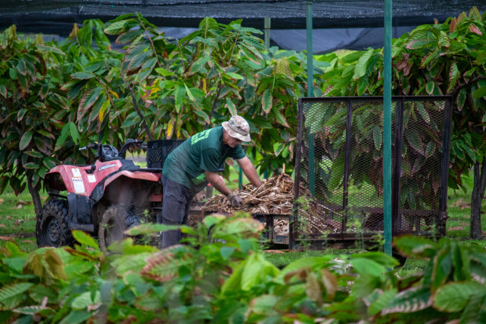 What Will The New Minimum Wage Mean For Hawaii's Farmers? - Honolulu ...