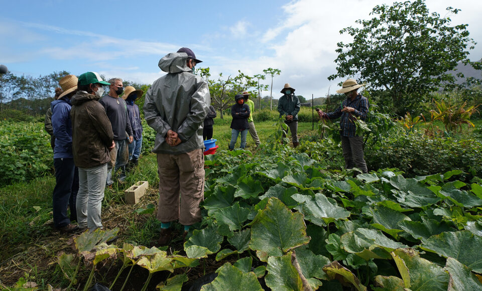 Farming's Next Generation In Hawaii Receives $1 Million Grant ...