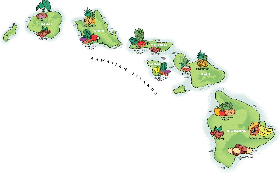 5 Ways To Help Hawaii Farmers In 2022 - Honolulu Civil Beat