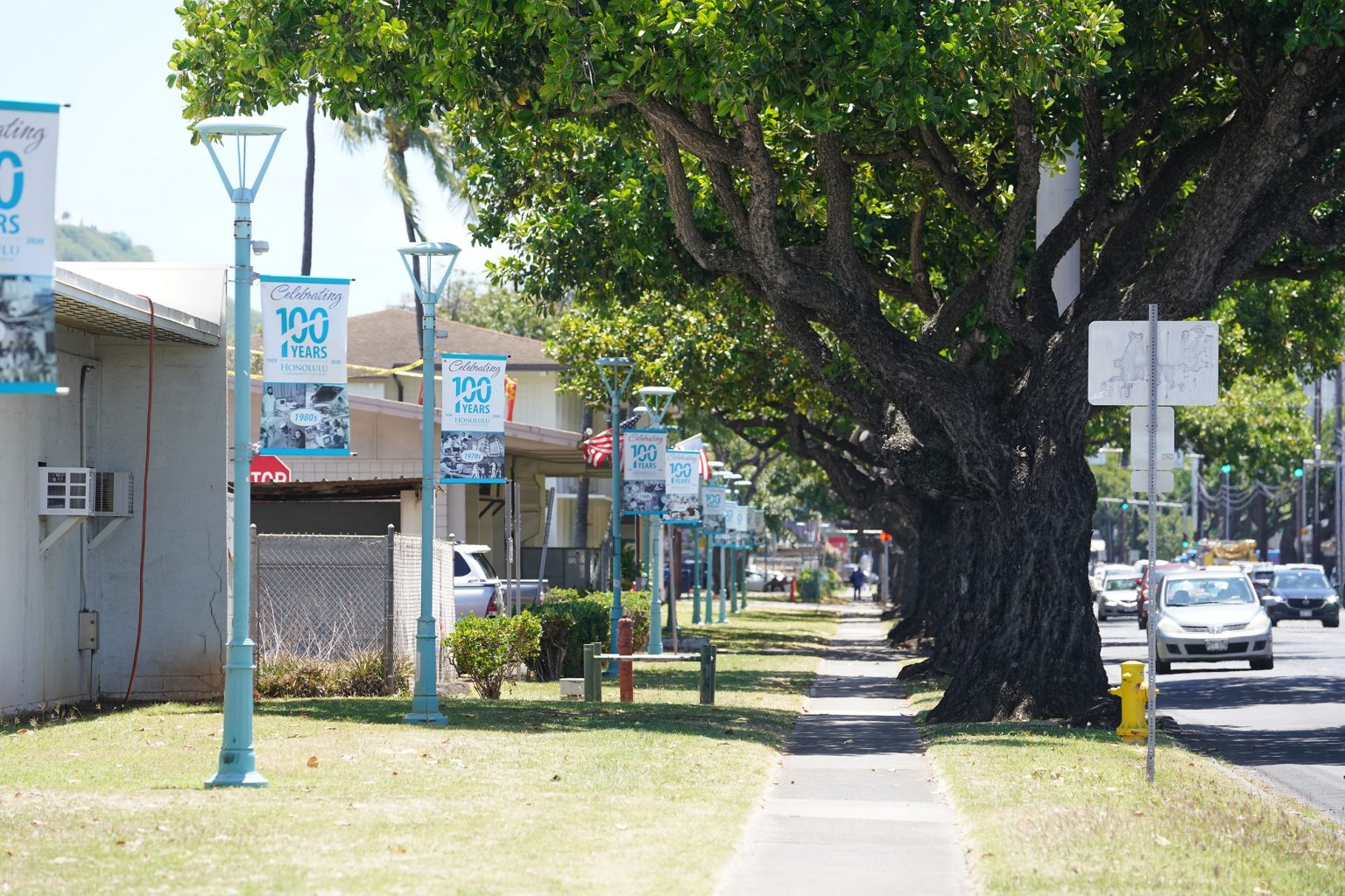 Denby Fawcett: The Honolulu Rail Project Has Destroyed Century-Old Shade Trees - Honolulu Civil Beat