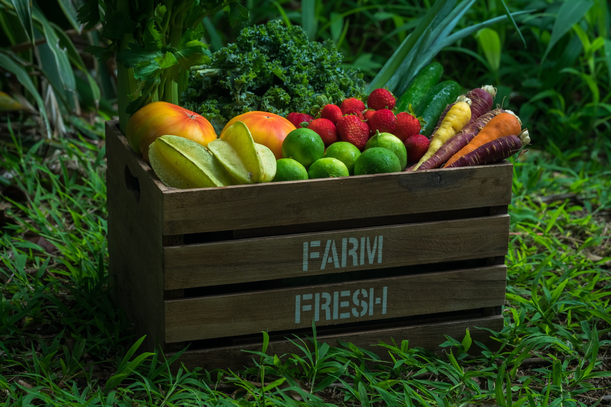 Hawaii's Food Hubs Get $1 Million For Statewide Expansion - Honolulu ...