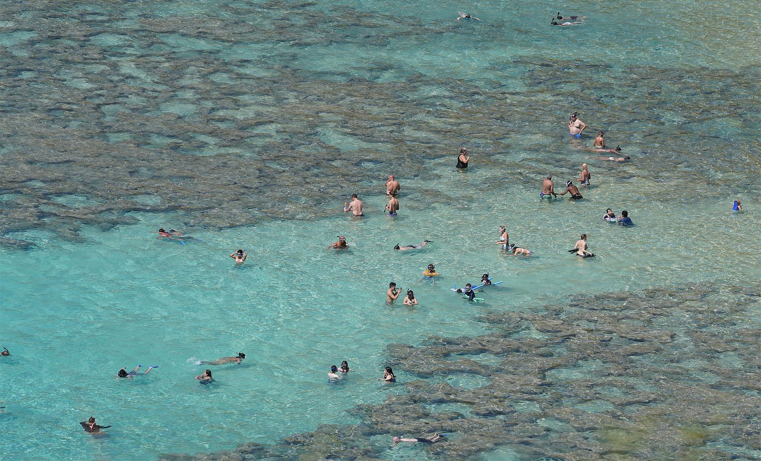 Hawaii Has A Ban On Sunscreen Chemicals But No One's Sure Who Should ...