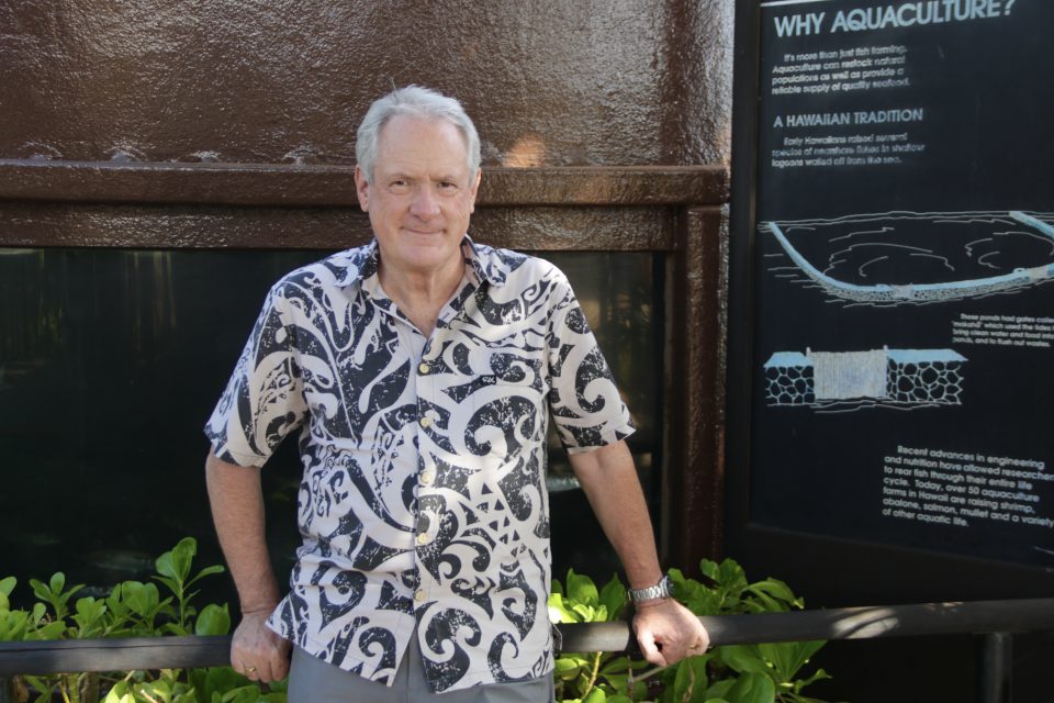 Empty Tanks, Peeling Walls: The Waikiki Aquarium Needs A Makeover ...