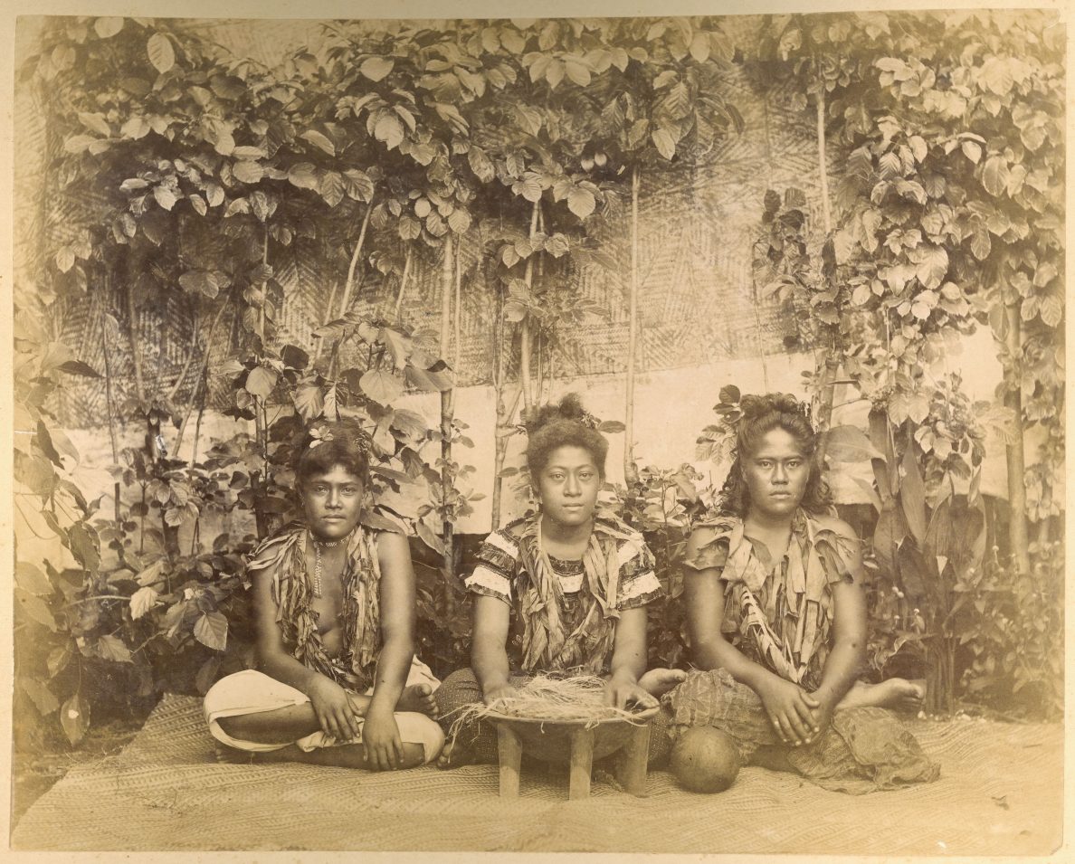 Kava: The Pacific's Economic 'Diamond' Is Being Coveted By Competitors ...