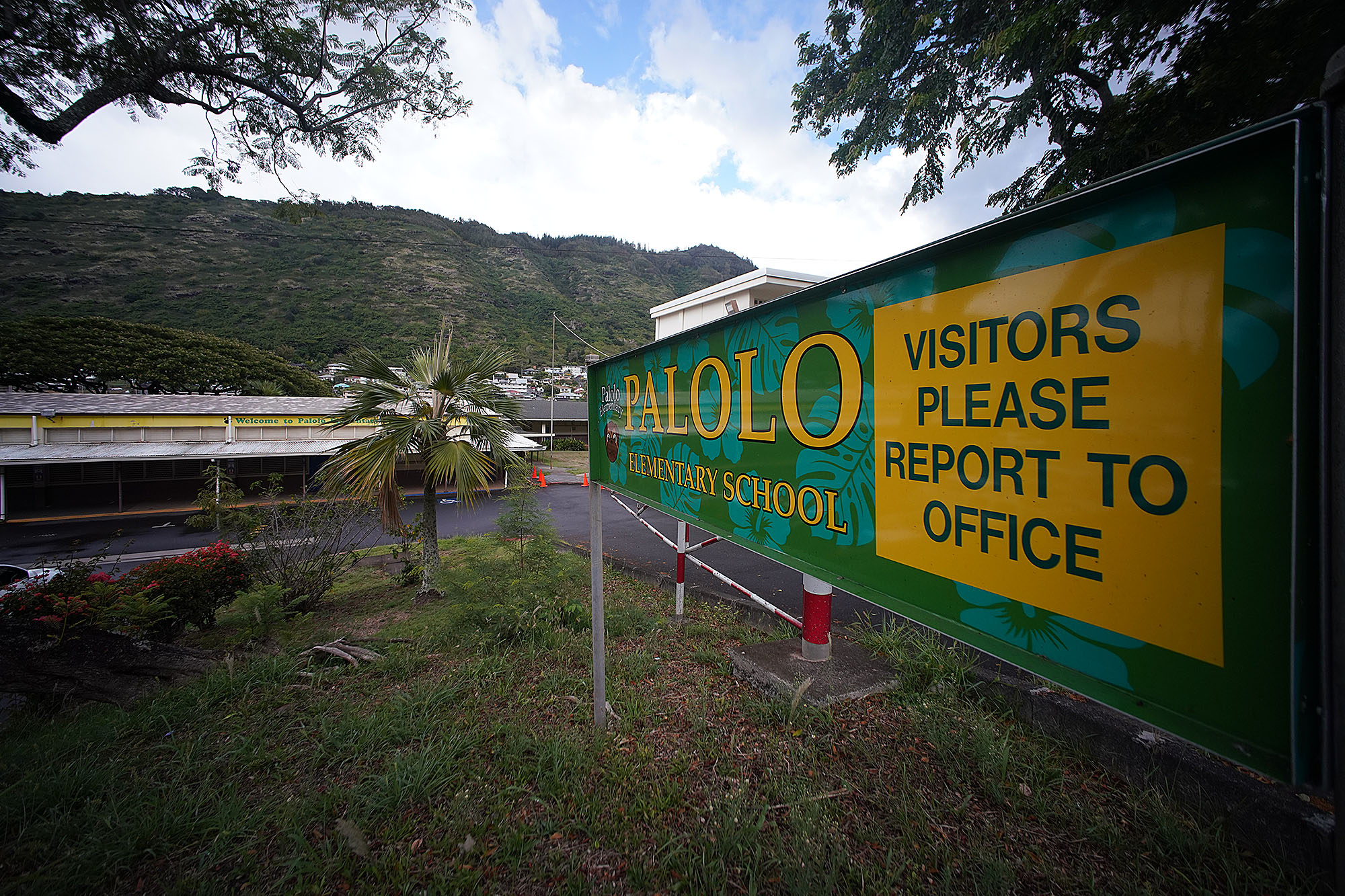 Hawaii Kindergarten Enrollment Has Dropped Sharply Since The Pandemic ...