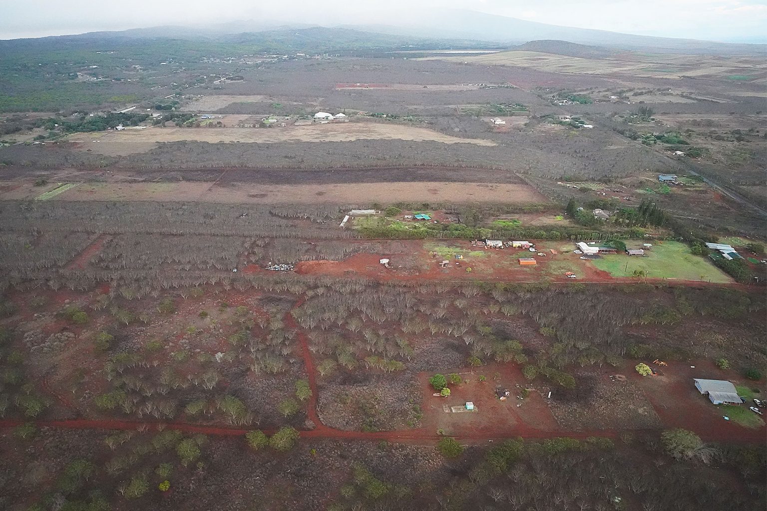 Hawaii's Extreme Drought Is Forcing Ranchers And Farmers To Get ...