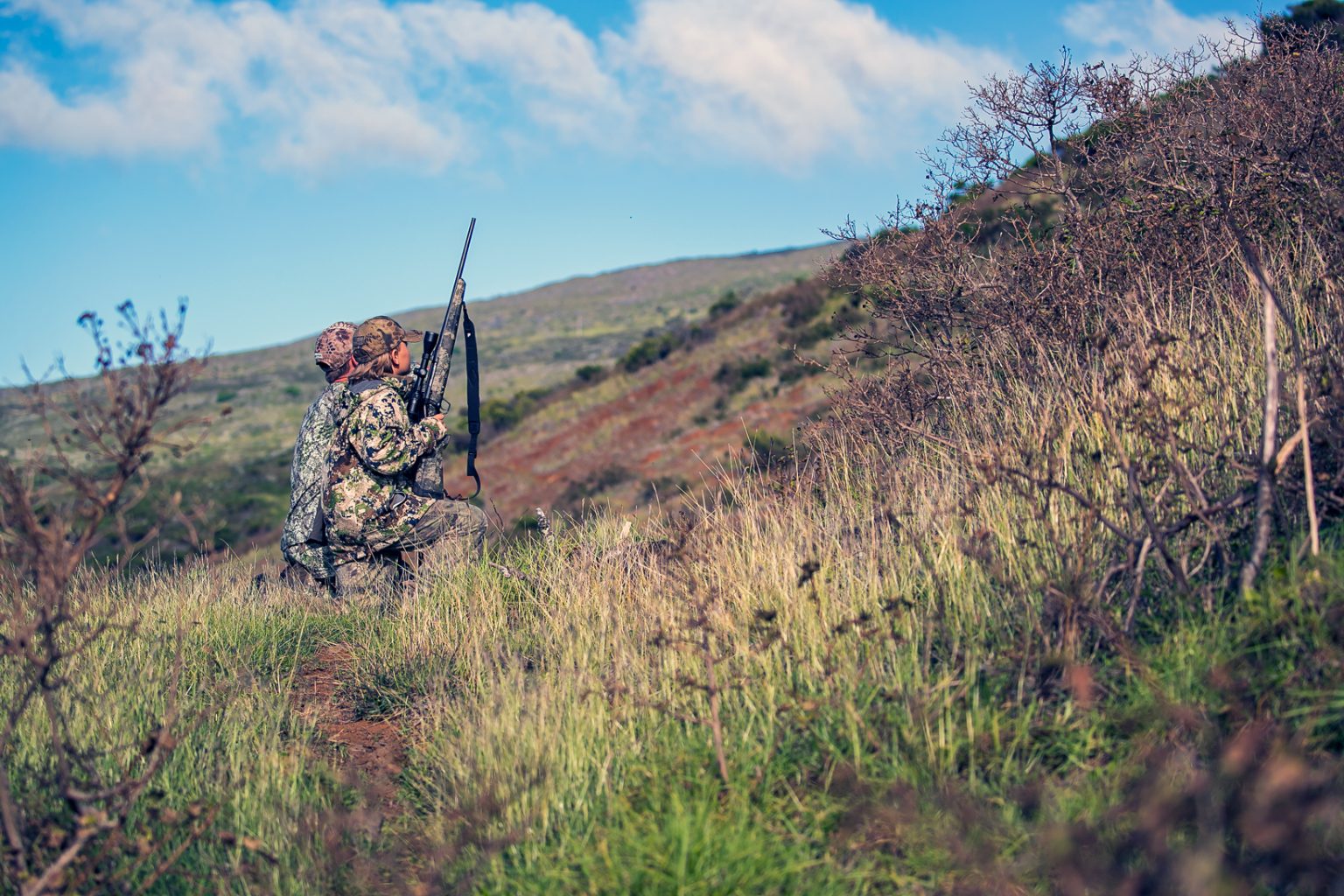 The Game Management Advisory Commission Was Created To Be The Voice Of ...