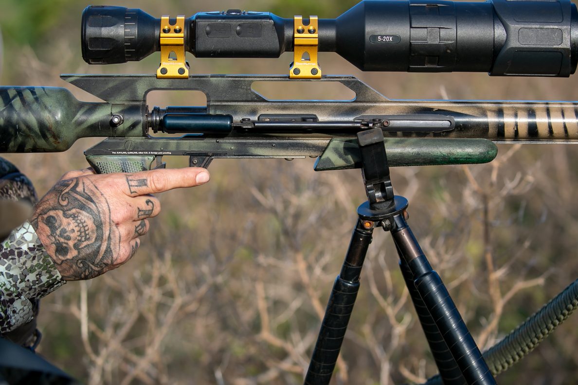 The Deer Population Is Devastating Maui. Hunters Want To Help ...