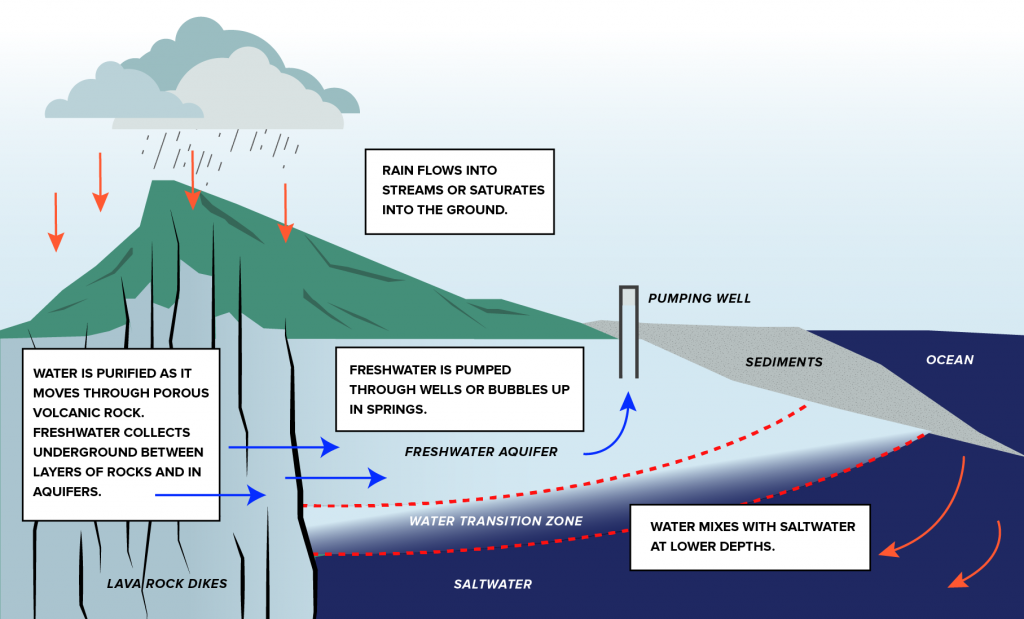 Where Is The Red Hill Contamination Moving? Experts Are 'Working Blind ...