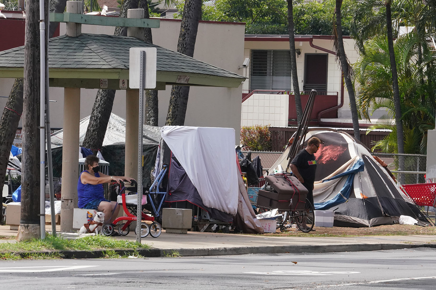 Number Of Homeless People Counted In Oahu Survey Drops 11% - Honolulu ...