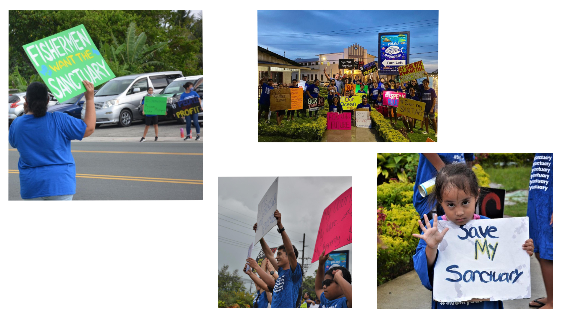 Palauans Are Protesting A Plan To Roll Back Their National Marine ...