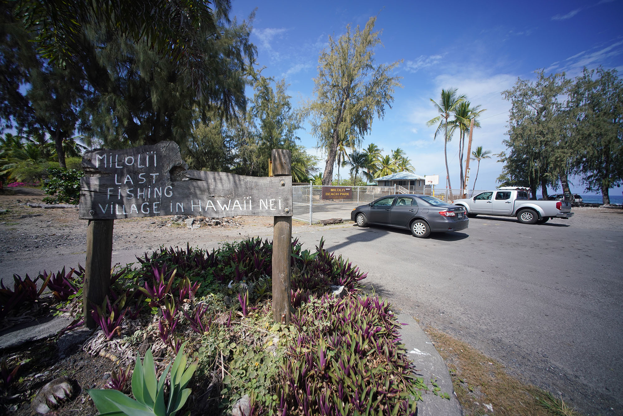 Hawaii's Love Affair With Cesspools Is Ruining Its Reefs - Honolulu ...