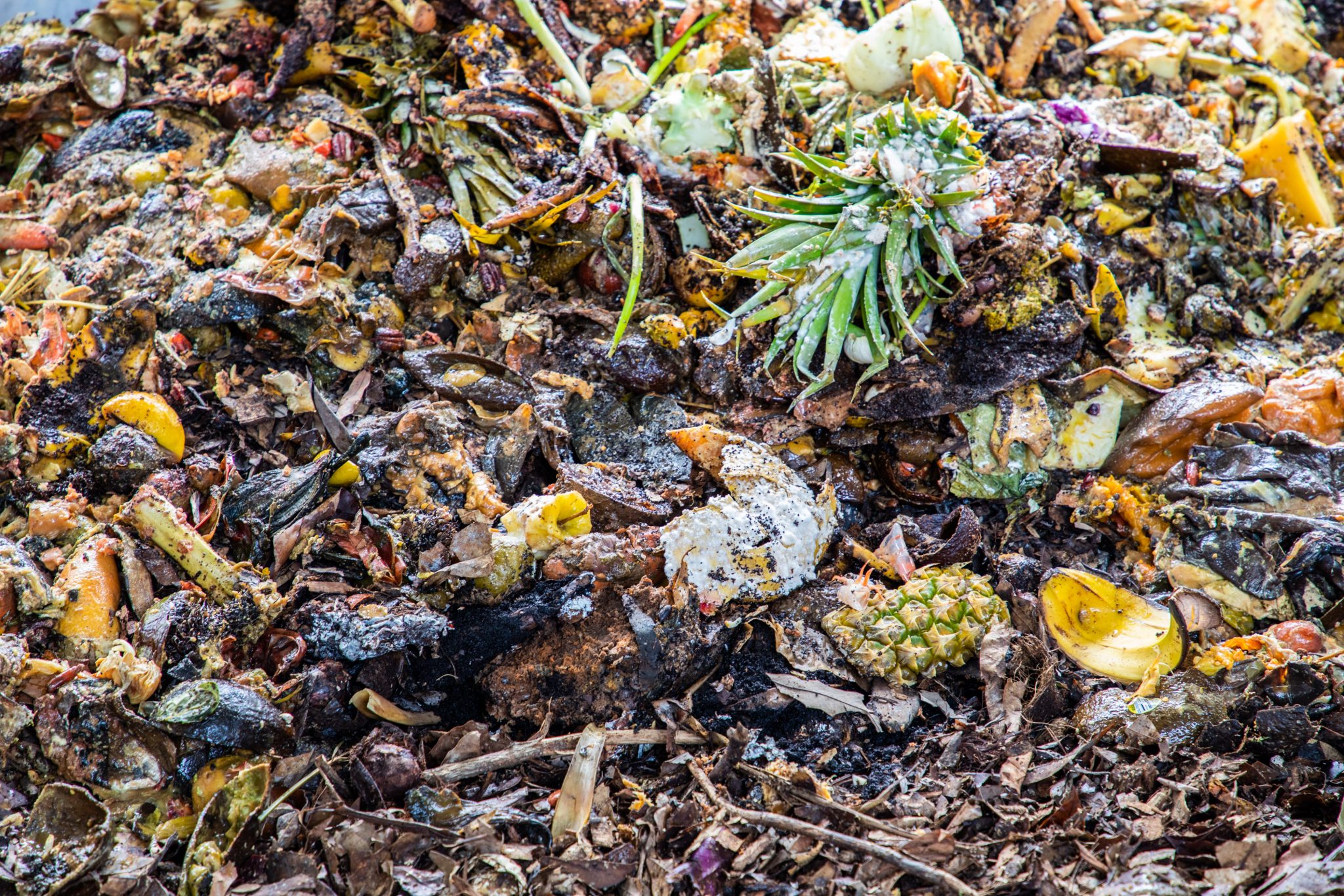 'It's All Connected': Hawaii's First Large-Scale Food Waste Composter ...