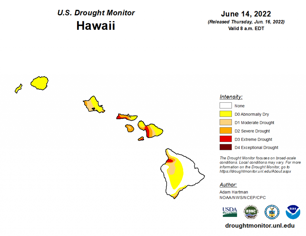 Hawaii's Extreme Drought Is Forcing Ranchers And Farmers To Get ...