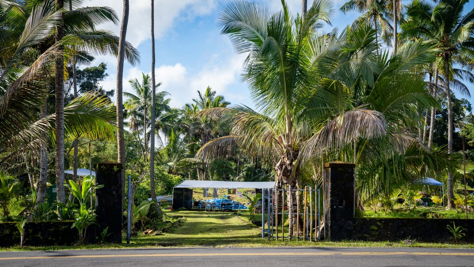 Hawaiian Fishponds Are Rebounding In The Face Of Rising Seas And ...
